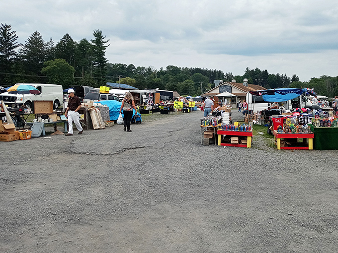 Treasure hunting begins! The sprawling landscape of Blue Ridge Flea Market invites weekend warriors to discover what might become tomorrow's heirlooms.