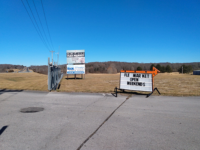 Even the roadside signs here promise adventure - because the best treasures announce themselves boldly.