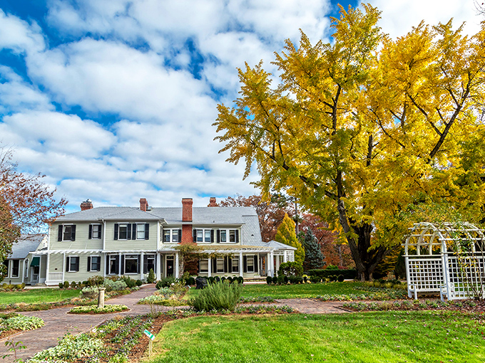 The historic Bloemendaal House stands as a testament to the garden's rich past, its stately presence enhanced by a magnificent golden ginkgo tree.