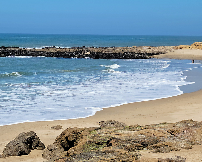 Nature's perfect canvas: Bean Hollow's pristine shoreline stretches out like a secret California promise, with rock formations that tell geological stories millions of years in the making.