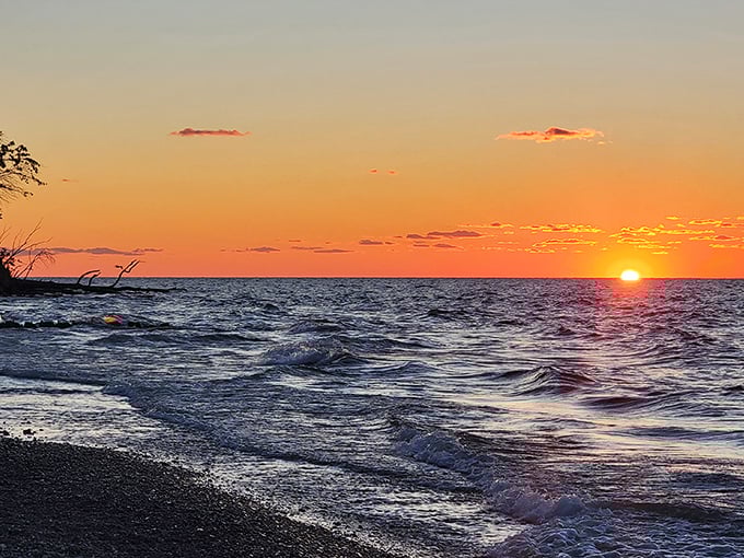 Golden sands stretch toward Lake Erie's horizon, where water meets sky in that perfect vacation tableau you've been searching for all along.