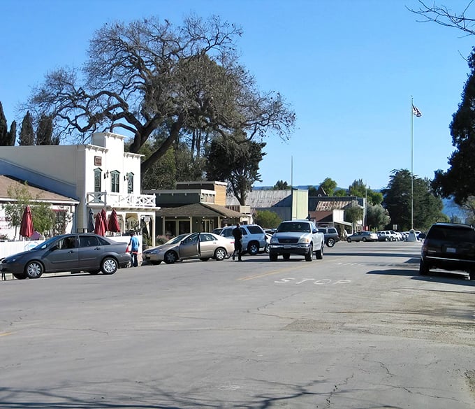 Historic buildings and towering oak trees create Los Olivos' postcard-perfect main street. Small-town charm with big-time character.