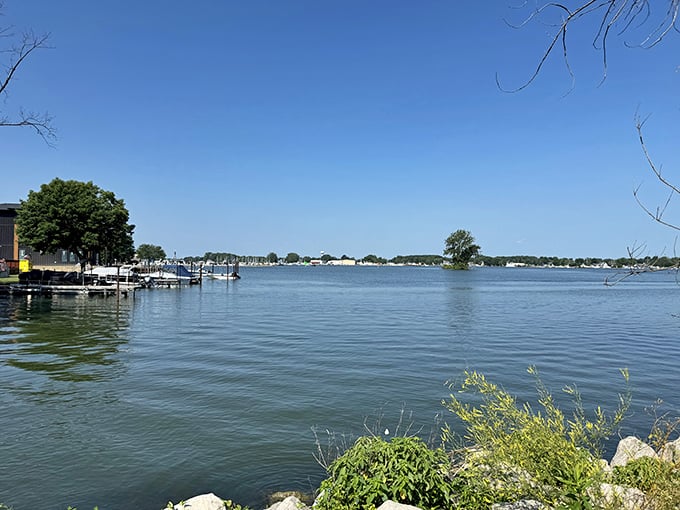 Bare winter trees stand sentinel along the water's edge, their reflection creating nature's perfect symmetry. Lake Erie's quiet beauty shines even in the off-season.