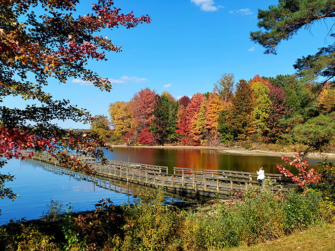 Nature's own masterpiece &ndash; a wooden footbridge stretches across Pymatuning's waters, framed by autumn foliage that would make Bob Ross reach for his palette.