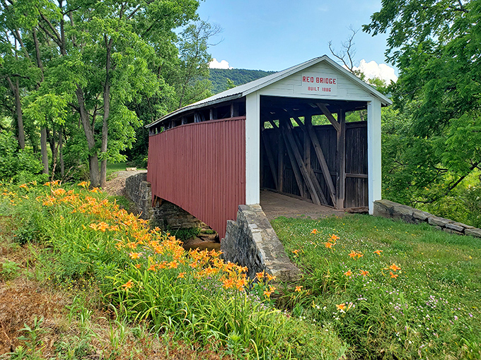 Orange lilies greet visitors like nature's own welcome committee at this Perry County treasure.