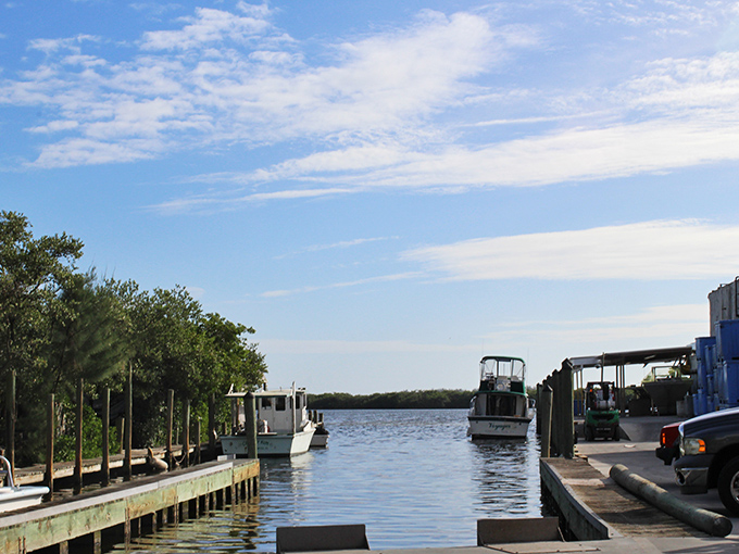 Working fishing boats reflect in glassy waters under dramatic skies. This isn't a postcard&mdash;it's Tuesday morning in Cortez, where seafood journeys mere yards from boat to plate.