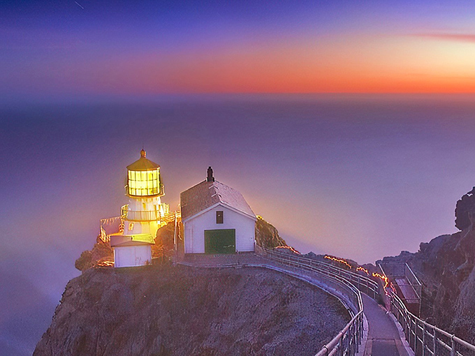 The iconic Point Reyes Lighthouse clings to the cliff like a determined postage stamp on California's wildest envelope. Those 300+ steps suddenly seem worth it.