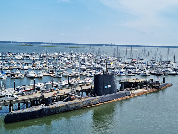 The Patriots Point Naval & Maritime Museum sits majestically in Charleston Harbor, where history floats and adventures await just across the water from downtown. 
