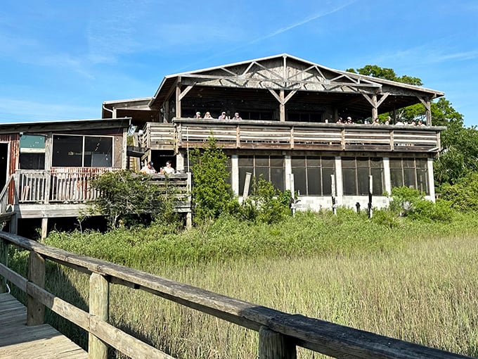 Rustic charm meets coastal magic at Bowens Island Restaurant, where this weathered wooden structure has survived hurricanes and hungry crowds with equal resilience.