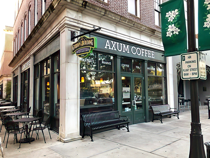 The corner storefront that launched a thousand caffeine quests. Axum Coffee's distinctive green exterior beckons like an oasis in Winter Garden's historic district.