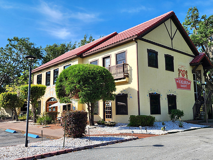 The sunshine-yellow facade of Yalaha Bakery stands like a cheerful postcard from Bavaria that somehow landed in Central Florida's lush landscape.