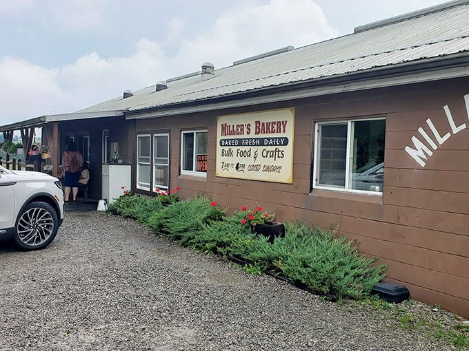 The unassuming exterior of Miller's Bakery belies the treasures within. Like finding a Michelin-starred restaurant in a gas station, this place proves appearances can be deliciously deceiving.