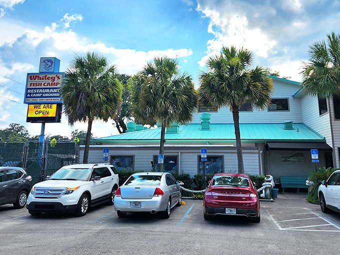 The unassuming exterior of Whitey's Fish Camp stands like a beacon for hungry travelers, palm trees swaying in welcome. 