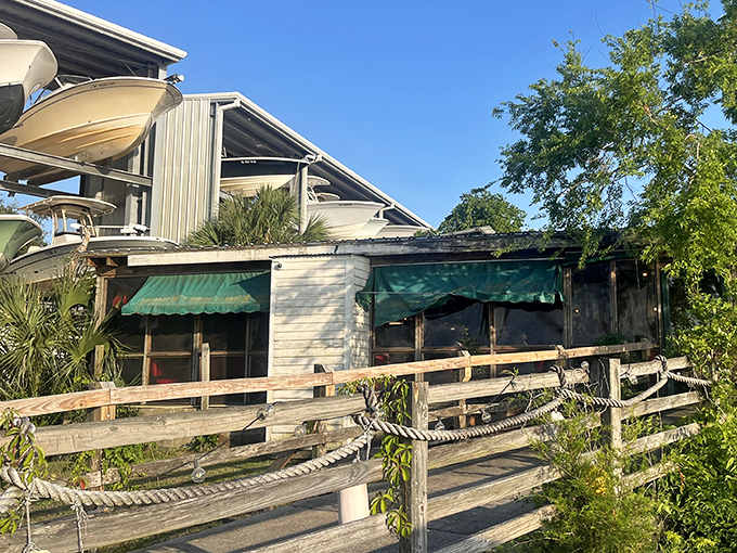 The unassuming exterior of The Wreck might make you drive past, but locals know this weathered facade hides seafood treasures worth discovering.