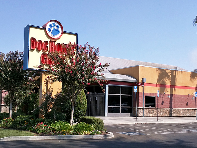 That cheerful blue paw print logo beckons like a friendly neighborhood invitation to burger bliss.