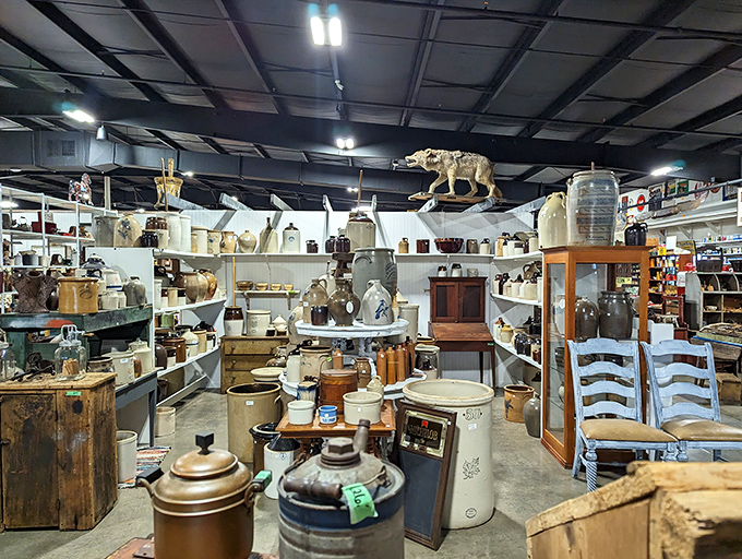 Vintage crockery heaven! That taxidermied fox seems to be guarding a treasure trove of antique stoneware and rustic furniture.