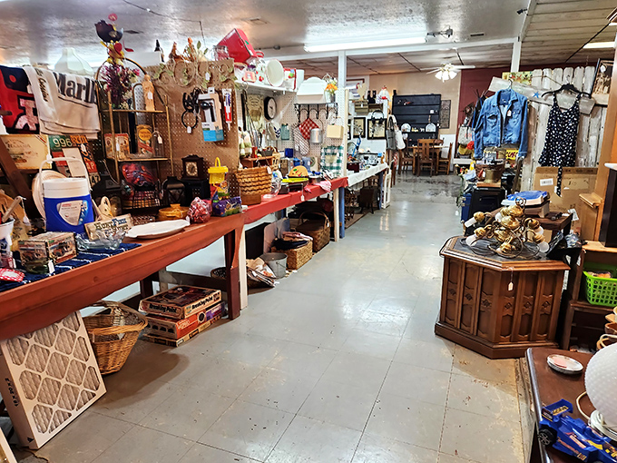 Aisles of possibility stretch before you, where yesterday's discards await their second act as tomorrow's treasures. Every shelf tells a story.