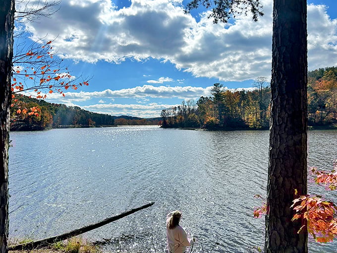 Nature's perfect frame: towering trees embrace Lake Hope's tranquil waters, offering a glimpse of serenity that no Instagram filter could improve upon.