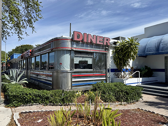 Chrome-clad time machine alert! Jack's Hollywood Diner gleams in the Florida sunshine, promising nostalgic flavors with that unmistakable mid-century charm.