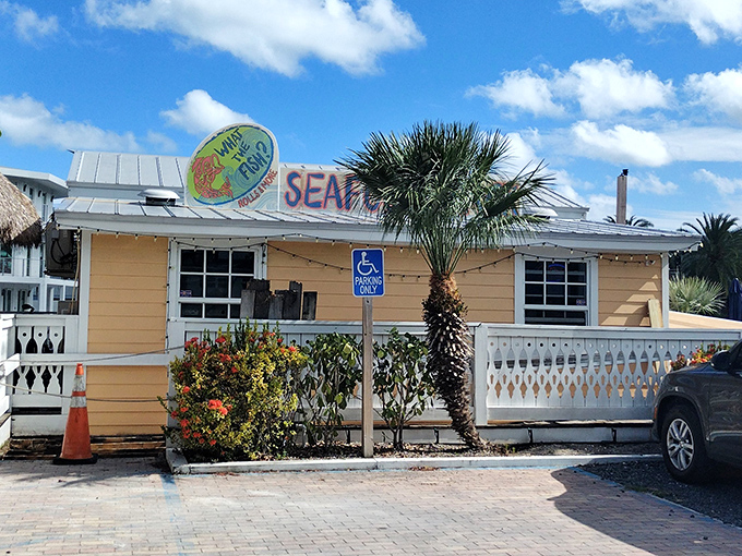 The cheerful orange exterior of What The Fish? beckons like a tropical sunset, promising seafood treasures behind those white-trimmed doors.