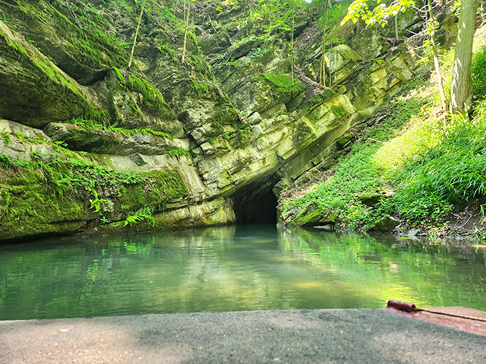 Nature's grand entrance beckons as emerald waters meet ancient limestone. Like stepping into Earth's own cathedral, complete with a baptismal font that's been 400 million years in the making.