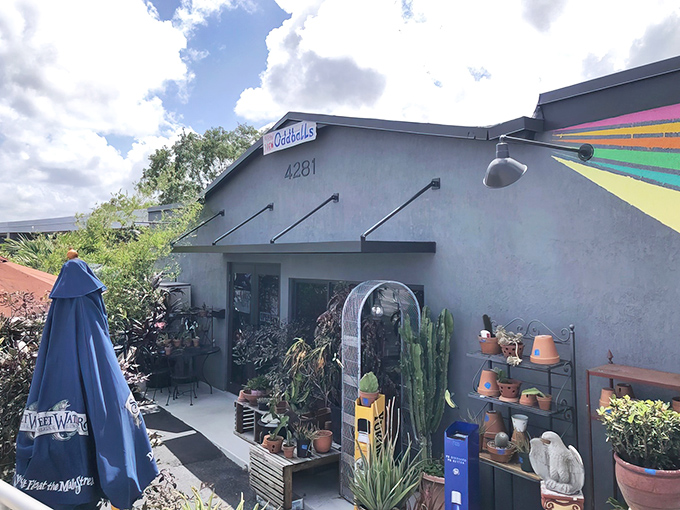 The unassuming gray exterior of Oddballs belies the wonderland within &ndash; like finding the wardrobe to Narnia in someone's garage sale.