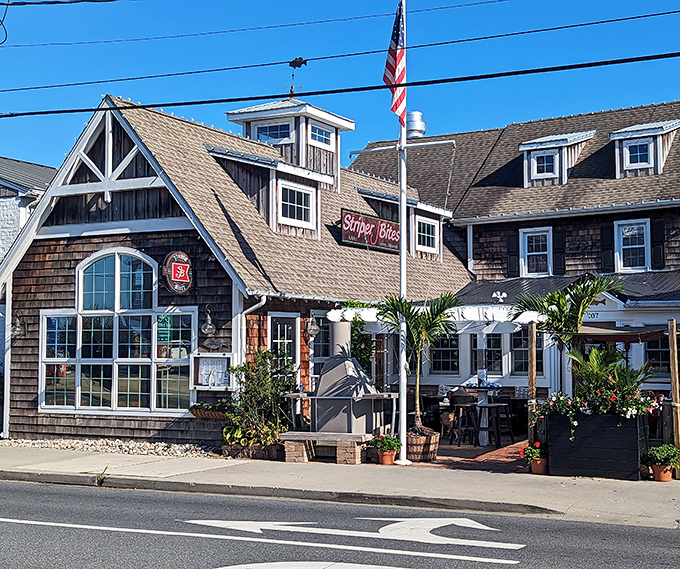 The cedar shake exterior of Striper Bites looks like it's been kissed by Delaware coastal sunshine for generations. Nautical charm that doesn't try too hard.