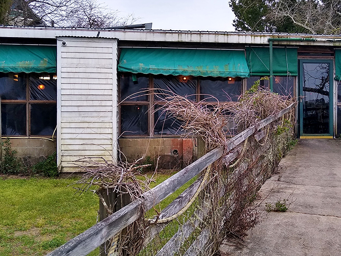 The unassuming exterior of The Wreck might make you drive past, but locals know this weathered facade hides seafood treasures worth discovering.