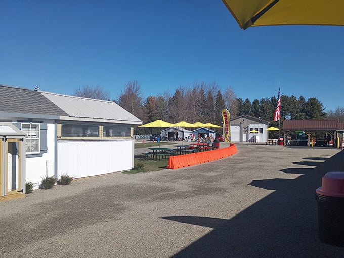 The treasure hunt begins! Rows of vendor stalls stretch across the former drive-in theater grounds, promising discoveries that'll make waking up at dawn worthwhile.
