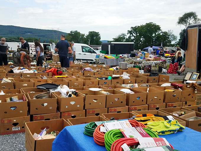 Step into the vibrant chaos where every box holds the promise of a hidden gem. It&rsquo;s a treasure hunt where one person&rsquo;s &ldquo;junk&rdquo; becomes another&rsquo;s treasure.