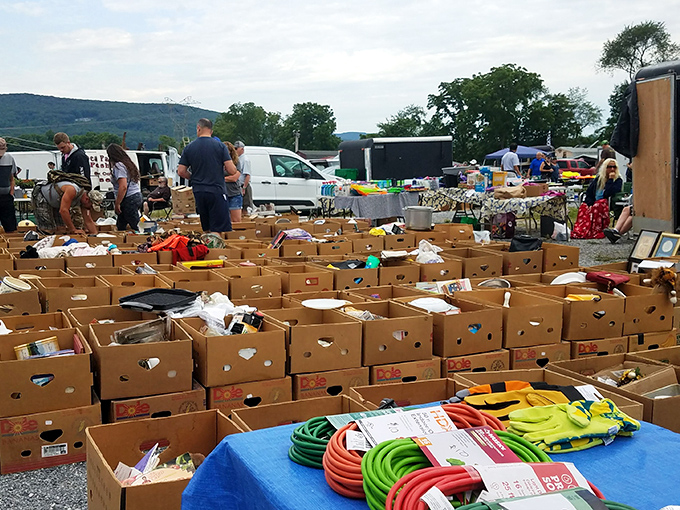 Treasure hunting paradise! Rows upon rows of cardboard boxes filled with potential gems await the curious bargain-seeker at Williams Grove's sprawling marketplace.