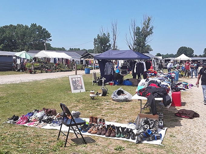 The treasure hunter's paradise stretches before you under clear Michigan skies, where one person's castoffs become another's prized possessions.