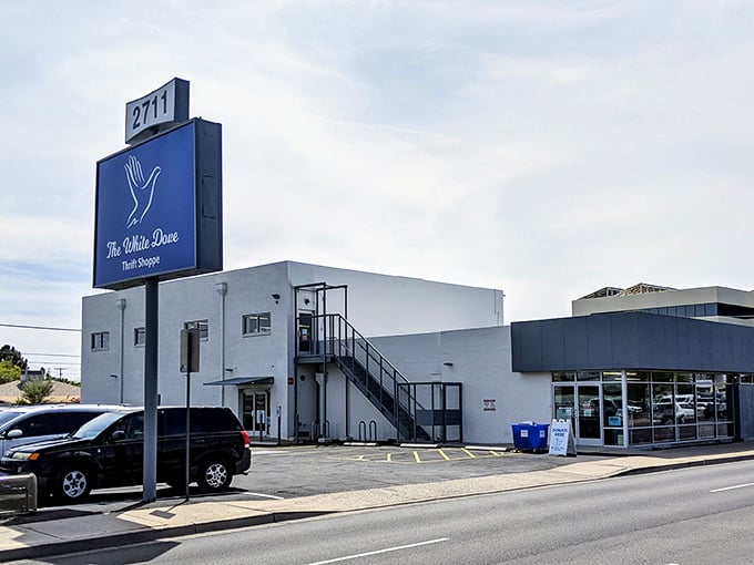 The iconic blue sign beckons bargain hunters like a retail lighthouse, promising treasures within that won't break the bank.