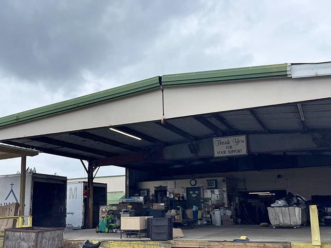 Einstein's Attic sits unassumingly between a UPS Store and tattoo parlor, proving that brilliance often hides in plain sight.