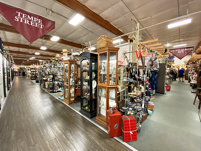 Tempe Street stretches into infinity, flanked by treasures from every era. One wrong turn and you might emerge decades later with armfuls of newfound obsessions.