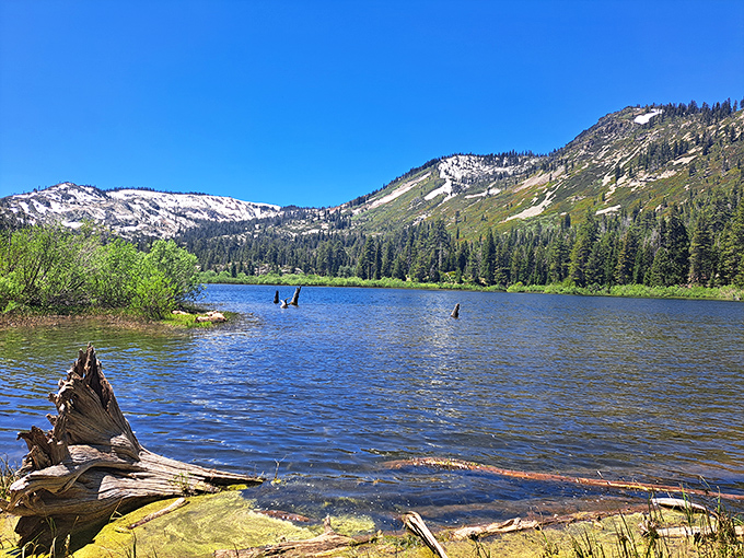 Nature's infinity pool! This aerial view of Plumas-Eureka's alpine lake surrounded by emerald forests makes Tahoe look like a kiddie pool.
