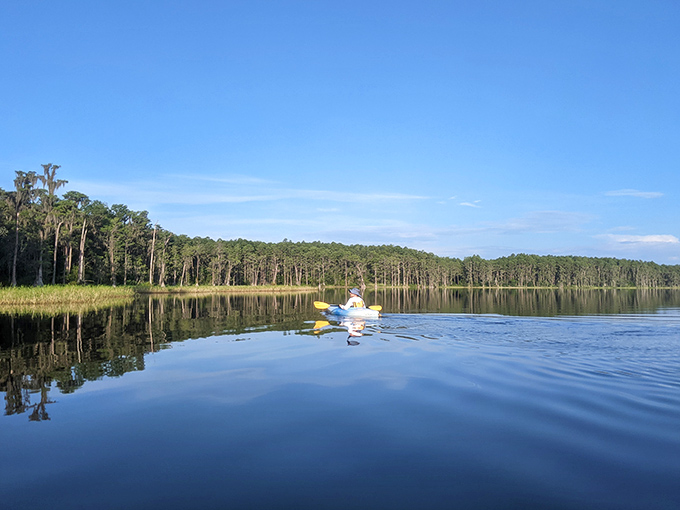 Nature's front porch awaits at this wooden boardwalk, where Spanish moss-draped cypress trees create the perfect backdrop for contemplative moments.