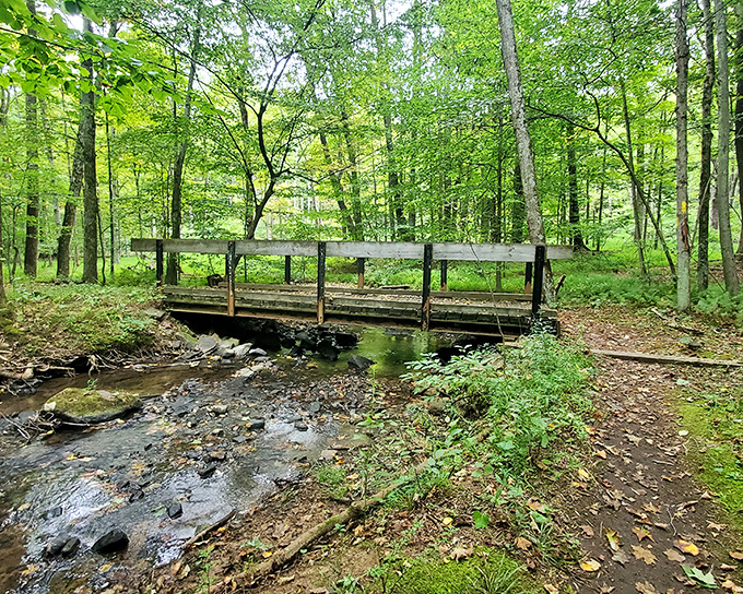 Nature's own stress therapy session. This wooden footbridge over a gentle stream invites you to leave your worries on the other side.