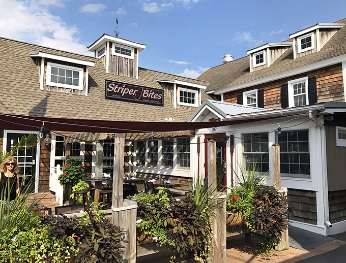 The cedar shake exterior of Striper Bites looks like it's been kissed by Delaware coastal sunshine for generations. Nautical charm that doesn't try too hard.