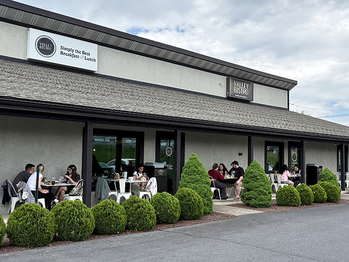 Valley Bistro's unassuming exterior hides culinary treasures within, like finding a secret level in your favorite video game.