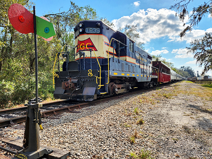 The mighty locomotive cuts through Florida's lush landscape, a blue and red time machine on wheels ready to transport visitors to railroading's golden age.