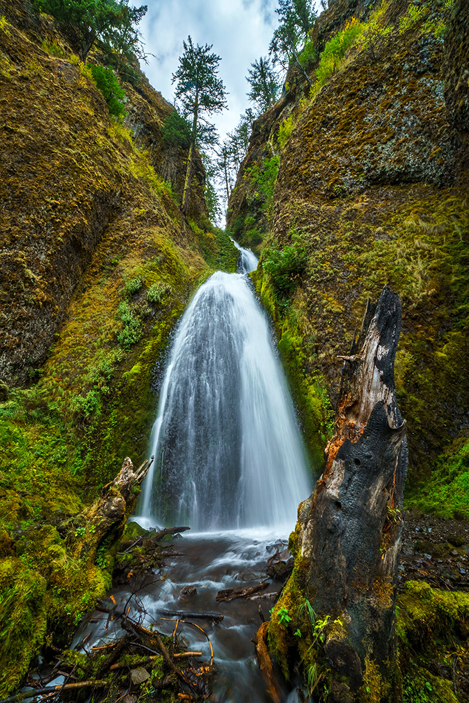 Nature's own masterpiece unfolds before visitors at Wahkeena Falls, where cascading water meets lush greenery in a display that rivals any museum exhibition.
