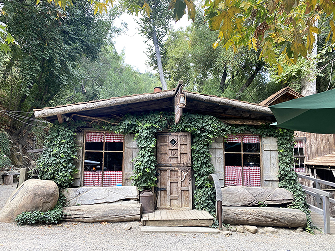 This ivy-covered log cabin looks like something straight out of a fairy tale, minus the wicked witch. 