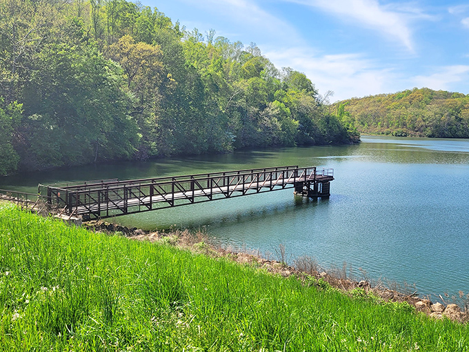 Nature's masterpiece unfolds where rolling hills meet pristine waters in southeastern Ohio's hidden treasure.