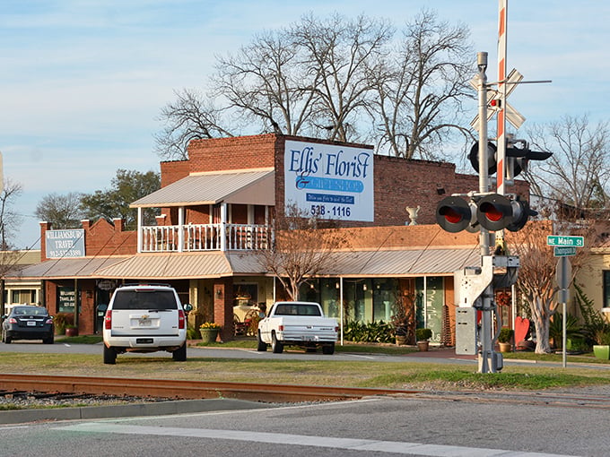 Downtown Vidalia's brick storefronts and railway crossing create that perfect small-town tableau where your wallet breathes easier and locals still wave from their trucks.