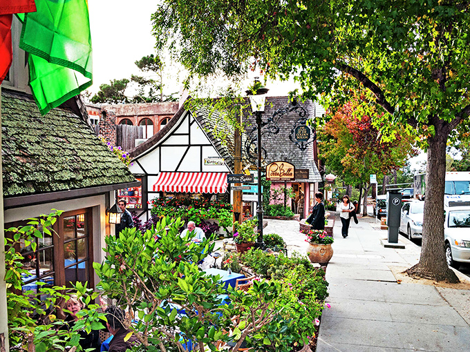 Nature's perfect canvas: Carmel Beach's golden sands meet turquoise waters while wildflowers provide front-row seats to this daily masterpiece of coastal splendor.