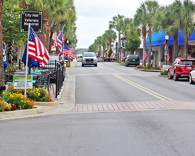 Downtown Leesburg's palm-lined streets offer that perfect Florida small-town vibe without the tourist-trap prices. Charm without bankruptcy!