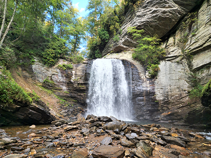 Nature's perfect curtain call – 60 feet of water dramatically plunging over ancient rock faces while somehow maintaining an air of elegant restraint.