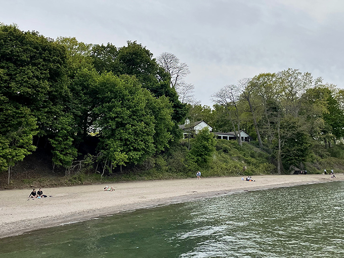 Where forest meets shoreline, Huntington Beach offers that rare Ohio coastal magic&mdash;no passport or ocean required.