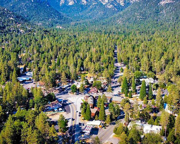A bird's-eye view of paradise! Idyllwild nestles among towering pines like nature's version of a cozy blanket fort for grown-ups.